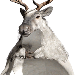 Reindeer Cloak | Crimson Desert Wiki