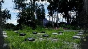 Duskwood Waterside Ruins | Crimson Desert Wiki