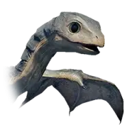 Baby Wyvern | Crimson Desert Wiki