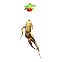 Wild Ginseng | Crimson Desert Wiki