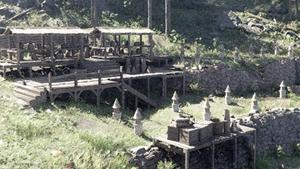 Nectarwood Apiary | Crimson Desert Wiki