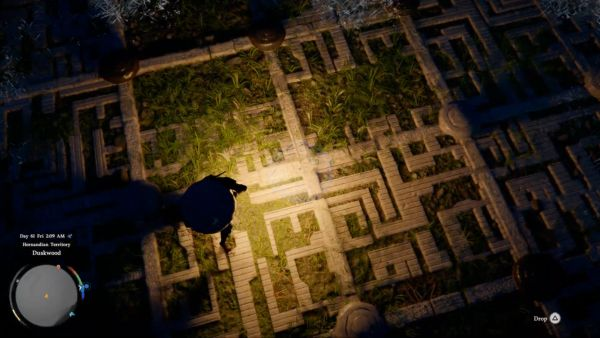 Duskwood Waterside Ruins | Crimson Desert Wiki