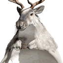Reindeer Cloak | Crimson Desert Wiki