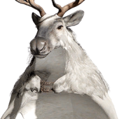 Reindeer Cloak | Crimson Desert Wiki