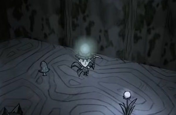 Biomes | Dont Starve Together Wiki