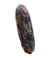 Plants | Fallout 76 Wiki