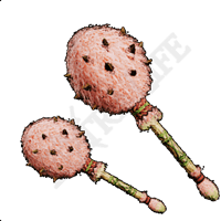 Funky Maracas | Monster Hunter Wilds Wiki
