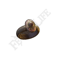 Ring of Sunfire | Oblivion Remastered Wiki