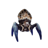 Enemies | Phoenix Point Wiki