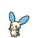 Minun | Pokopia Wiki