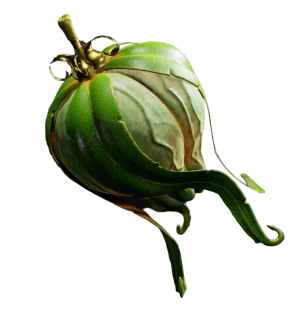 Elder Thaen Fruit | Remnant 2 Wiki