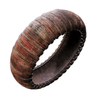 Restriction Cord | Remnant 2 Wiki
