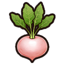 Pink Turnip | Rune Factory: Guardians of Azuma Wiki
