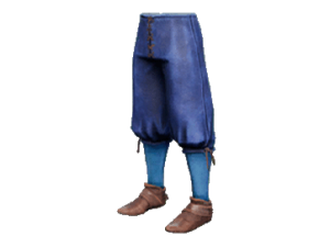 Wizard Robe Legs | RuneScape Dragonwilds Wiki
