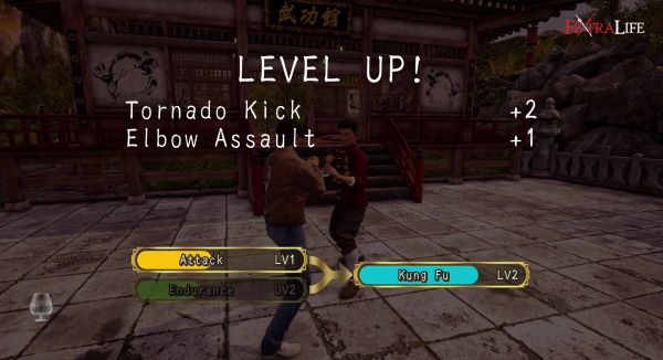 Kung Fu | Shenmue 3 Wiki