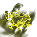 Wizard | Solasta 2 Wiki