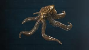 Enemies | Stellar Blade Wiki