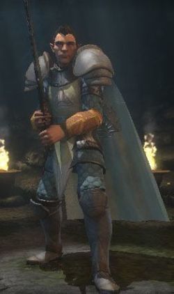 Captain Build (Lotro) | Sword Coast Legends Wiki