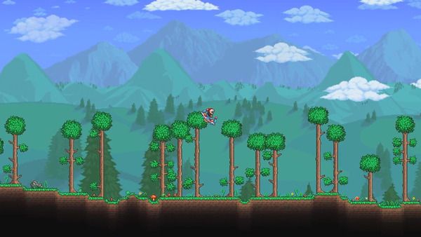 Forest | Terraria Wiki