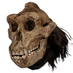 J'deyl Skull Helm | The Lords of the Fallen Wiki