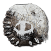 Pale Eye Shield | The Lords of the Fallen Wiki