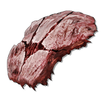 Lightreaper Flesh | The Lords of the Fallen Wiki