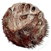 Skinstealer Shield | The Lords of the Fallen Wiki
