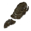 Arm Fungus | The Lords of the Fallen Wiki