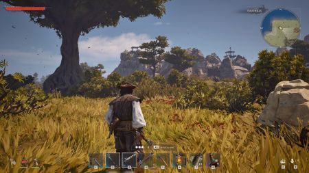 Windrose Wiki