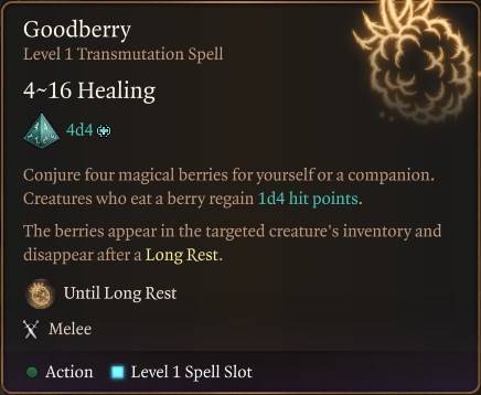 Baldur’s Gate 3 Circle of the Moon Druid Build Guide