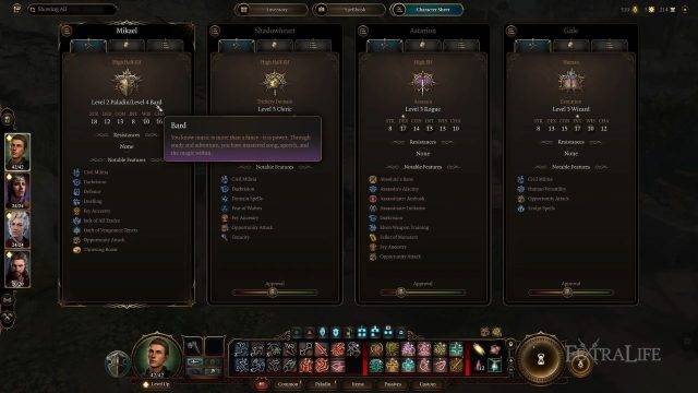 Baldur's Gate 3 Best Beginner Paladin Builds