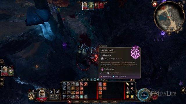 Baldur’s Gate 3 Best Beginner Ranger Builds