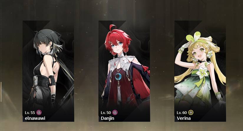 Wuthering Waves Rover Havoc Build Guide