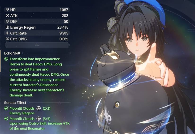 Wuthering Waves Yangyang Build Guide