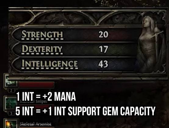 Path of Exile 2 Witch Starter Guide - How to Build a Witch