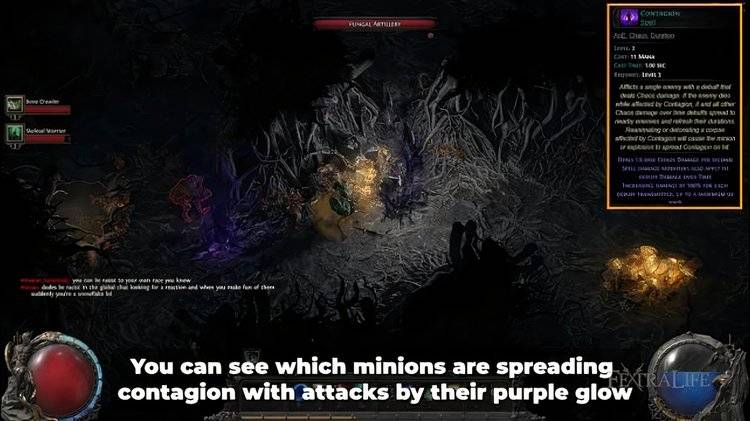 Path of Exile 2 Witch Starter Guide - How to Build a Witch