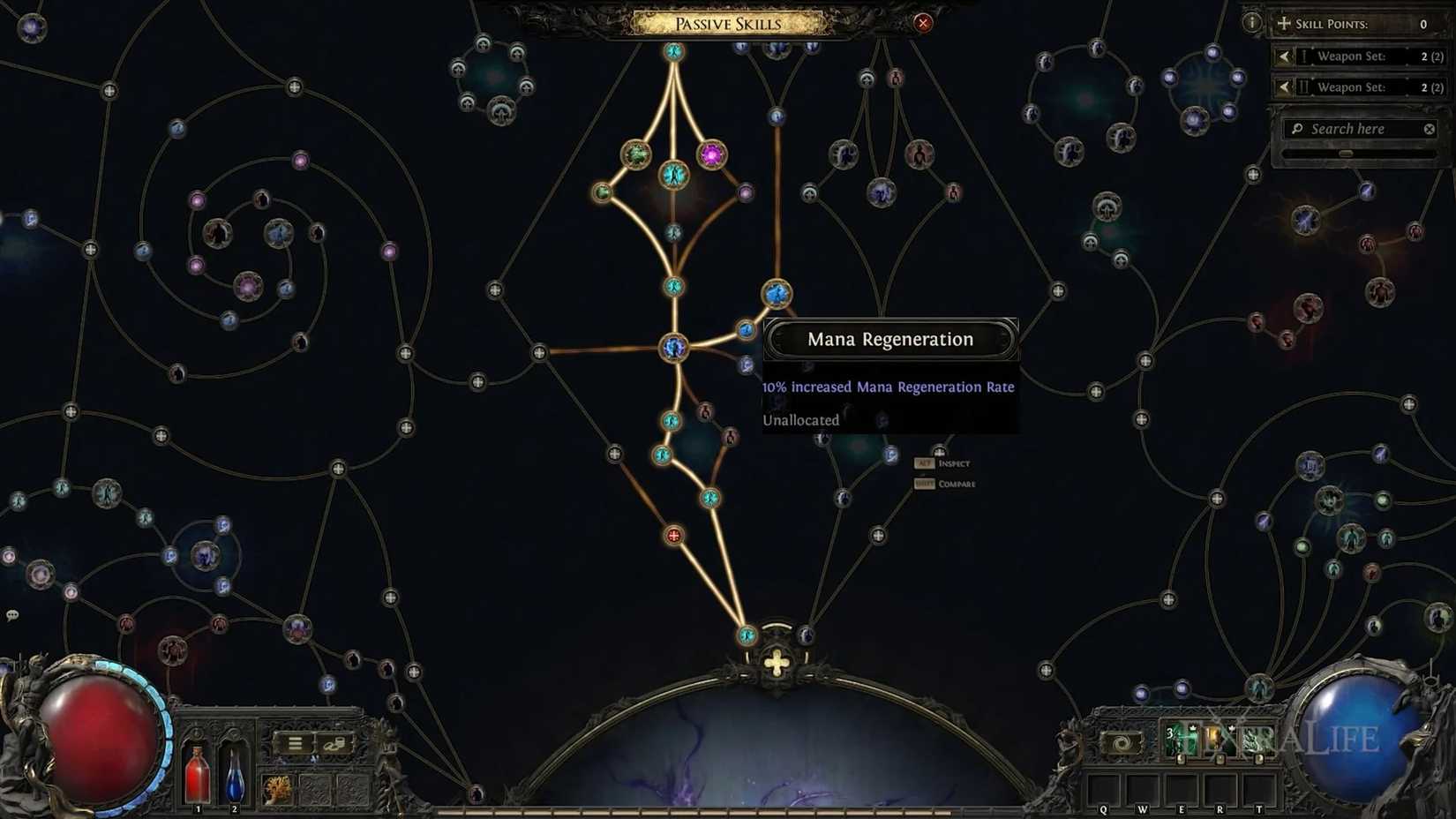 Path of Exile 2 Witch Starter Guide - How to Build a Witch