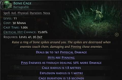 Path of Exile 2 The Blood Witch Build